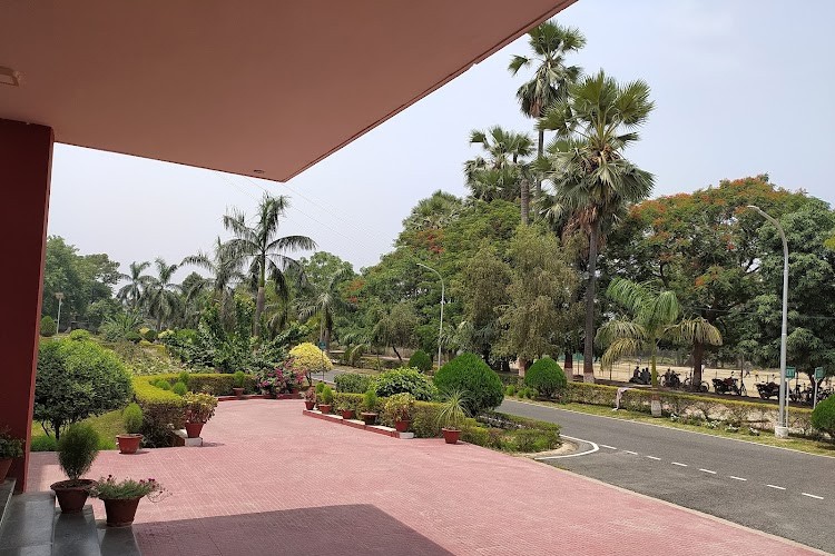 BIT Patna Campus: Photos, Virtual Tour