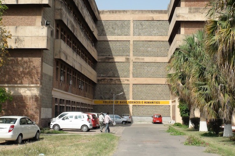 Chaudhary Charan Singh Haryana Agricultural University Hisar Campus ...