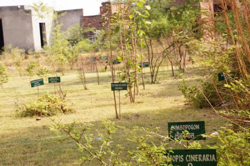 Divya Jyoti Ayurvedic Medical College & Hospital, Modinagar Ghaziabad ...