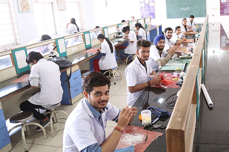 Faculty of Pharmaceutical Sciences, PDM University Bahadurgarh Campus ...