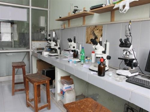 Government National College Sirsa Campus: Photos, Virtual Tour