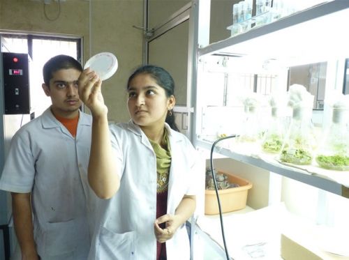 Institute of Bioinformatics and BioTechnology Pune Campus: Photos, Virtual Tour