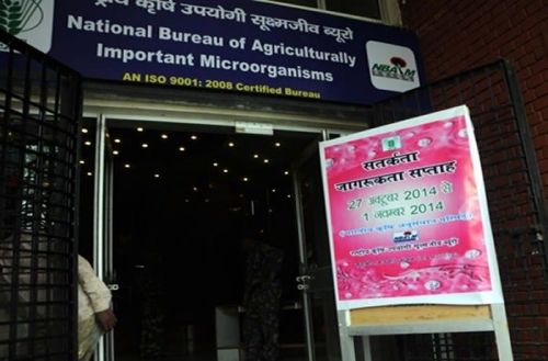 National Bureau of Agriculturally Important Microorganisms Kheri Campus ...