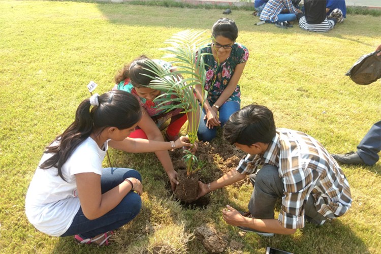 Prime Group of Institutions Navsari Surat Campus: Photos, Virtual Tour