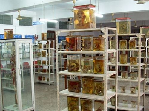 Pt. Jawahar Lal Nehru Memorial Medical College Raipur Campus: Photos ...