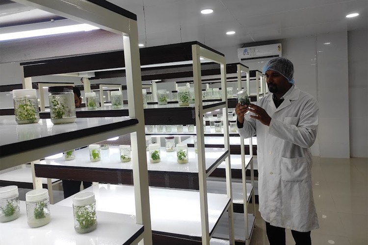 SAGE University Indore Campus: Photos, Virtual Tour