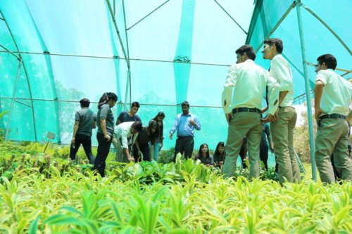 Sai Group of Institutions Dehradun Campus: Photos, Virtual Tour