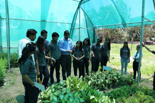 Sai Group of Institutions Dehradun Campus: Photos, Virtual Tour