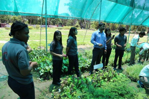 Sai Group of Institutions Dehradun Campus: Photos, Virtual Tour