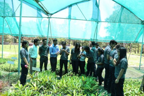 Sai Group of Institutions Dehradun Campus: Photos, Virtual Tour