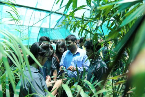 Sai Group of Institutions Dehradun Campus: Photos, Virtual Tour