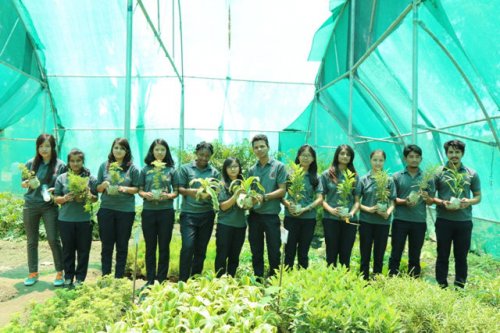 Sai Group of Institutions Dehradun Campus: Photos, Virtual Tour