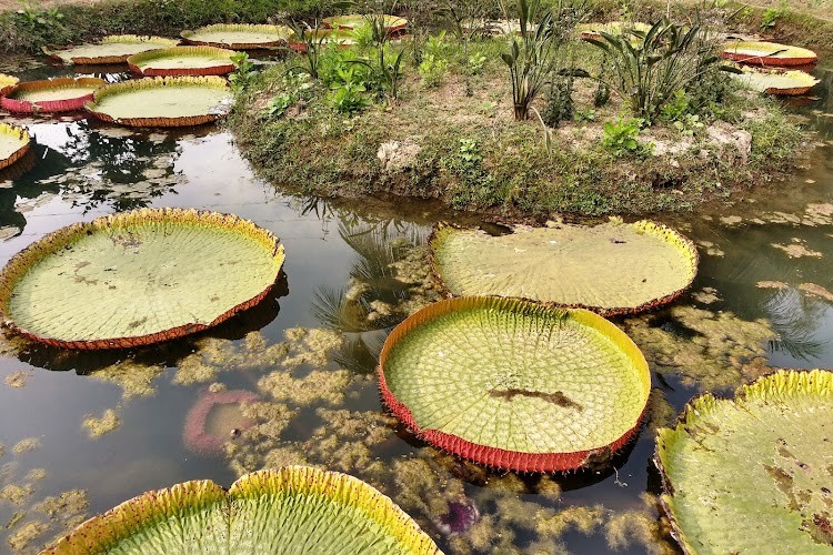 University of Burdwan Bardhaman Campus: Photos, Virtual Tour